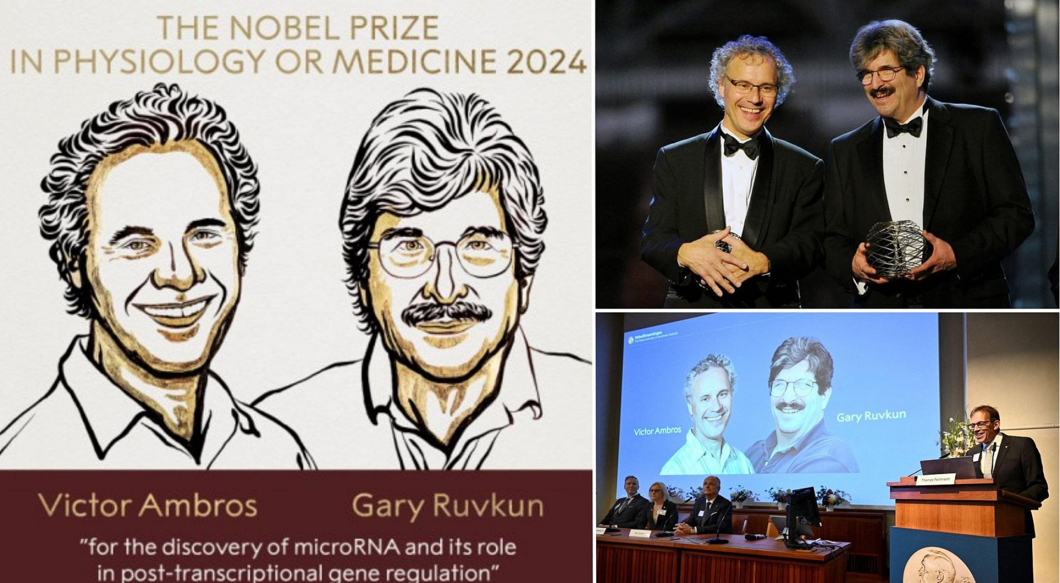 mikroRNA'yı keşfeden Victor Ambros ve Gary Ruvkun’a Nobel ödülü - Mikro ...